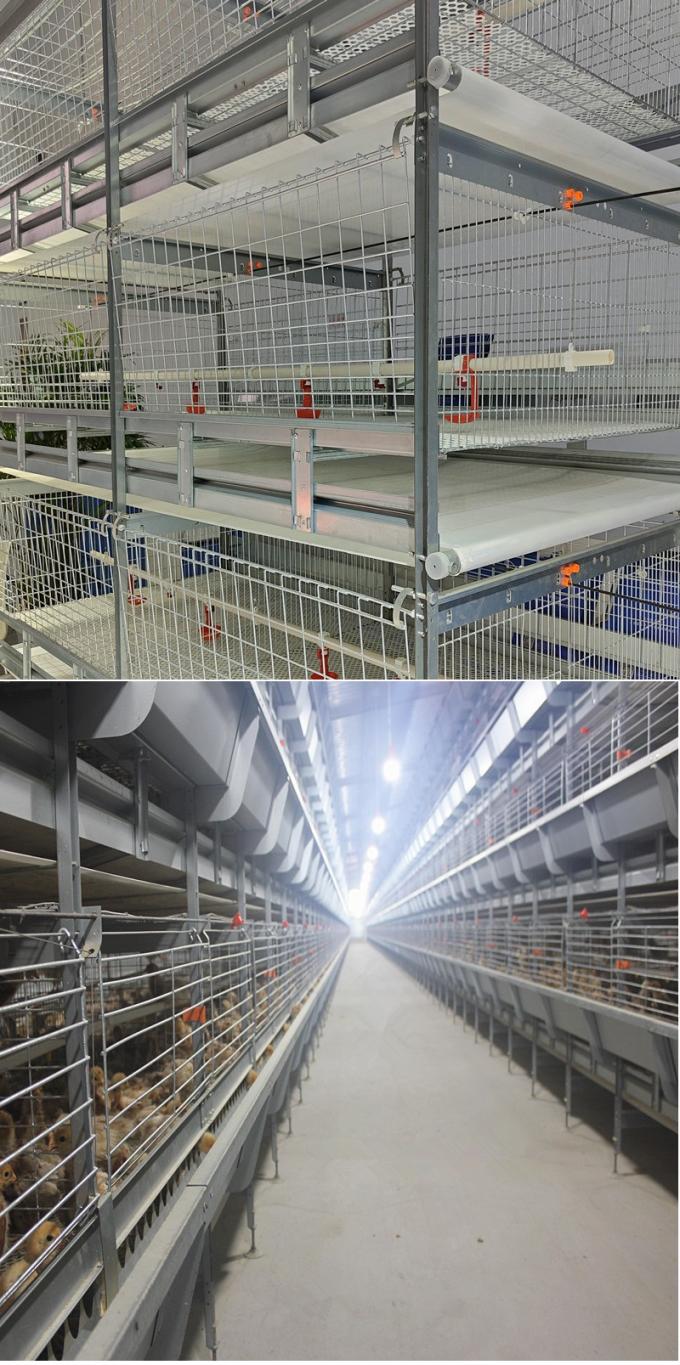 Q235 Poultry Farming Cage