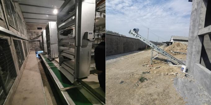 6mm Automatic Manure Removal System