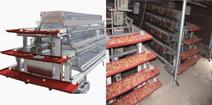 10cm Chicken Egg Collection System