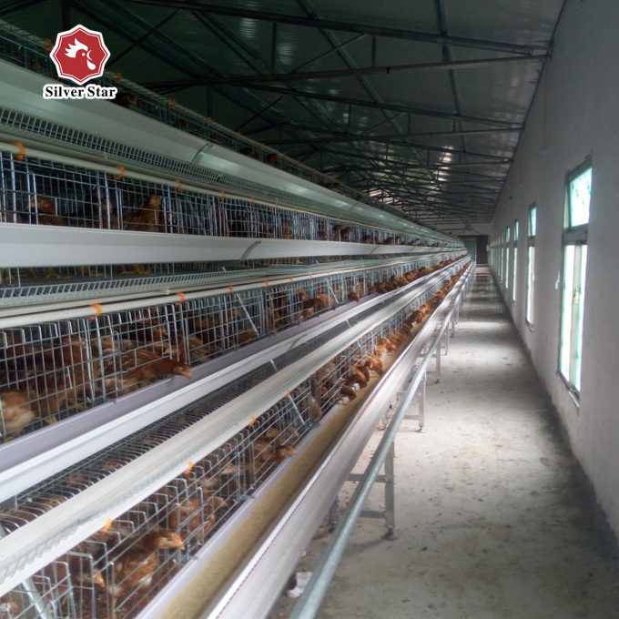Poultry Farm Battery Chicken Cage Equipment 96 Birds / Set