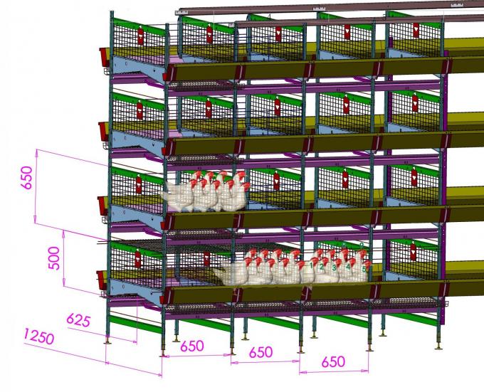 Poultry Farming Battery Chicken Cage H Type Fully Automatic For 50000 Egg Layer Hens