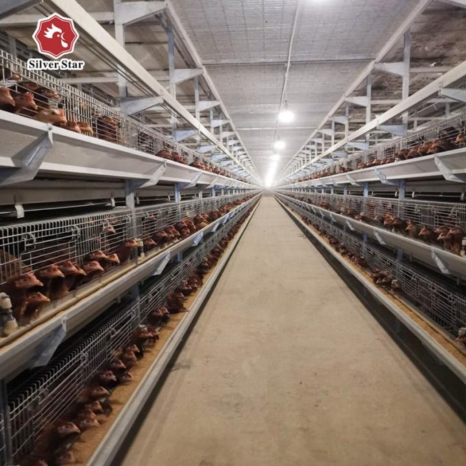 Poultry Farming Battery Chicken Cages System H Type Automatic Laying ...