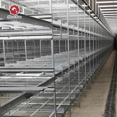 4-Tier Fully Automated Layer Housing System with Galvanized Frame ...