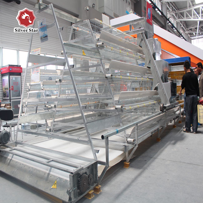 A Type Full Automatic Battery Cage System In Poultry Farm