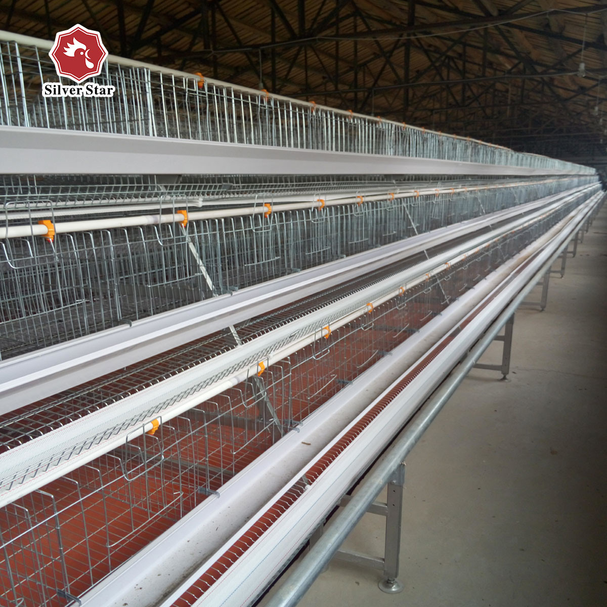 New Type Battery Chicken Cage Automatic Manure Cleaning System
