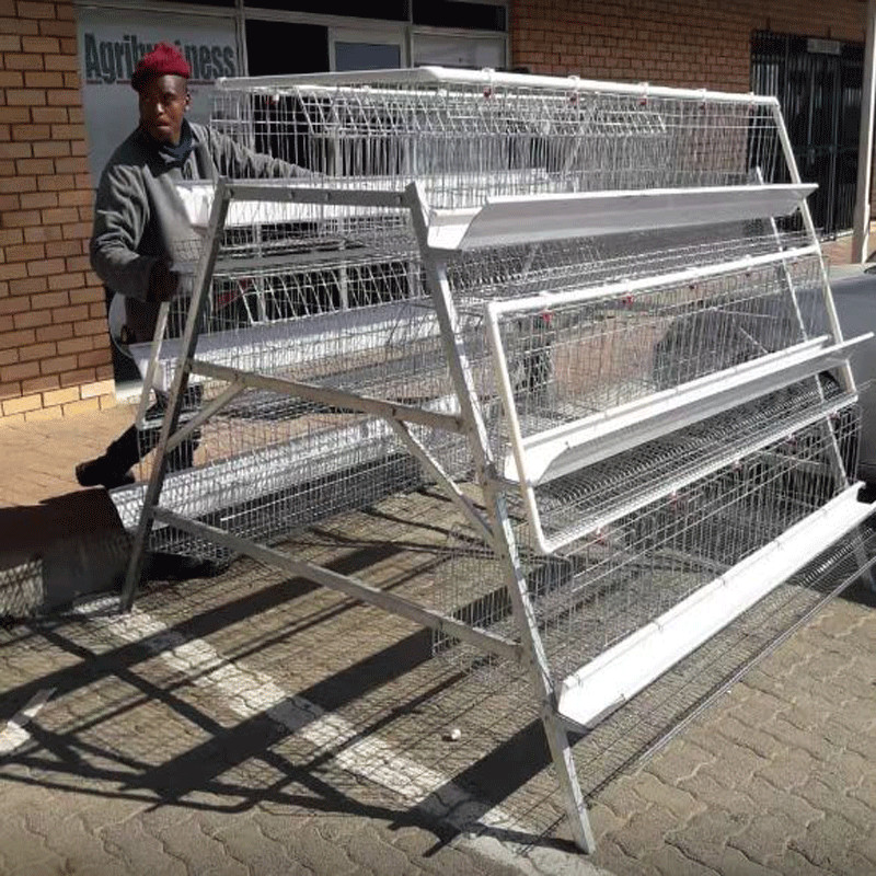Hot Galvanized A Type Poultry Cage New Design Big Size