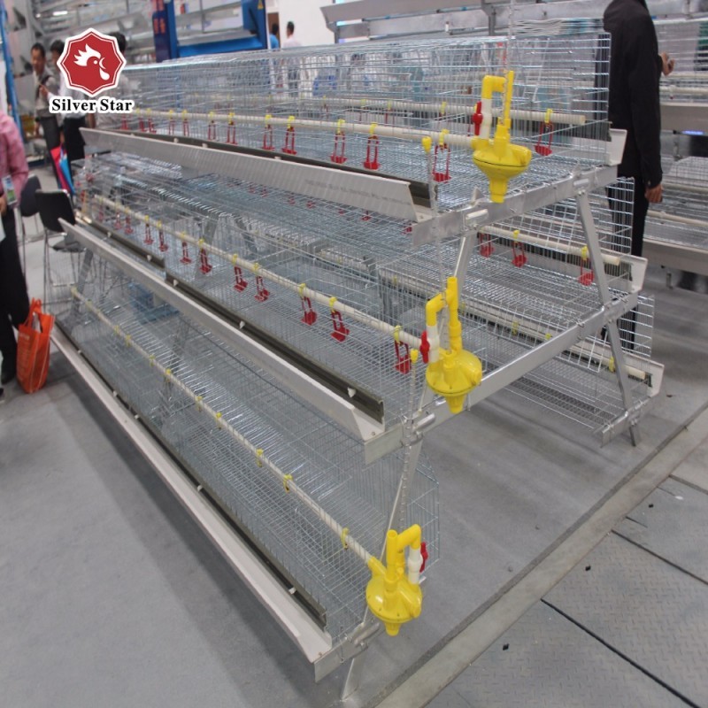 Pullet Chick Breeder Broiler Chicken Cage A Type Layer Egg Hens ...