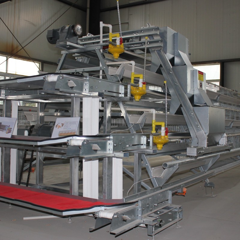 Automatic Egg Chicken Layer Battery Cage Poultry Farming System A Type