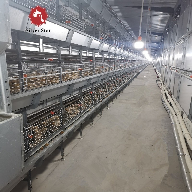 Poultry Farming Equipment H Type Automatic System Battery Broiler ...