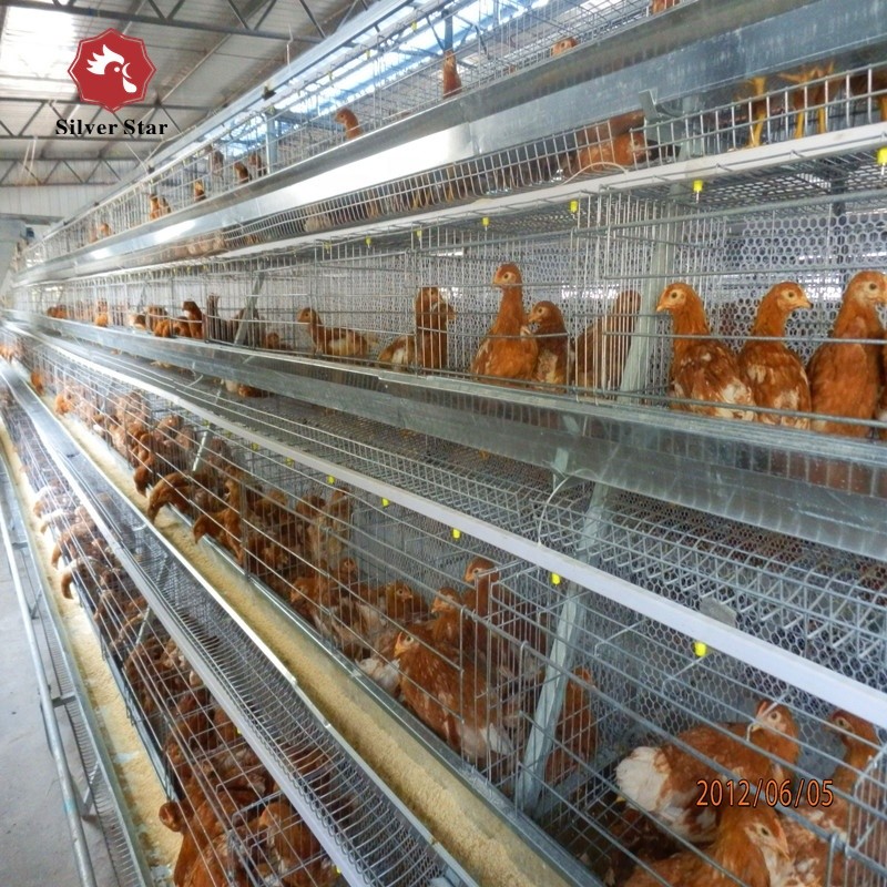Long Time A Type Farm Chicken Battery Cages For Layers Double Cold ...