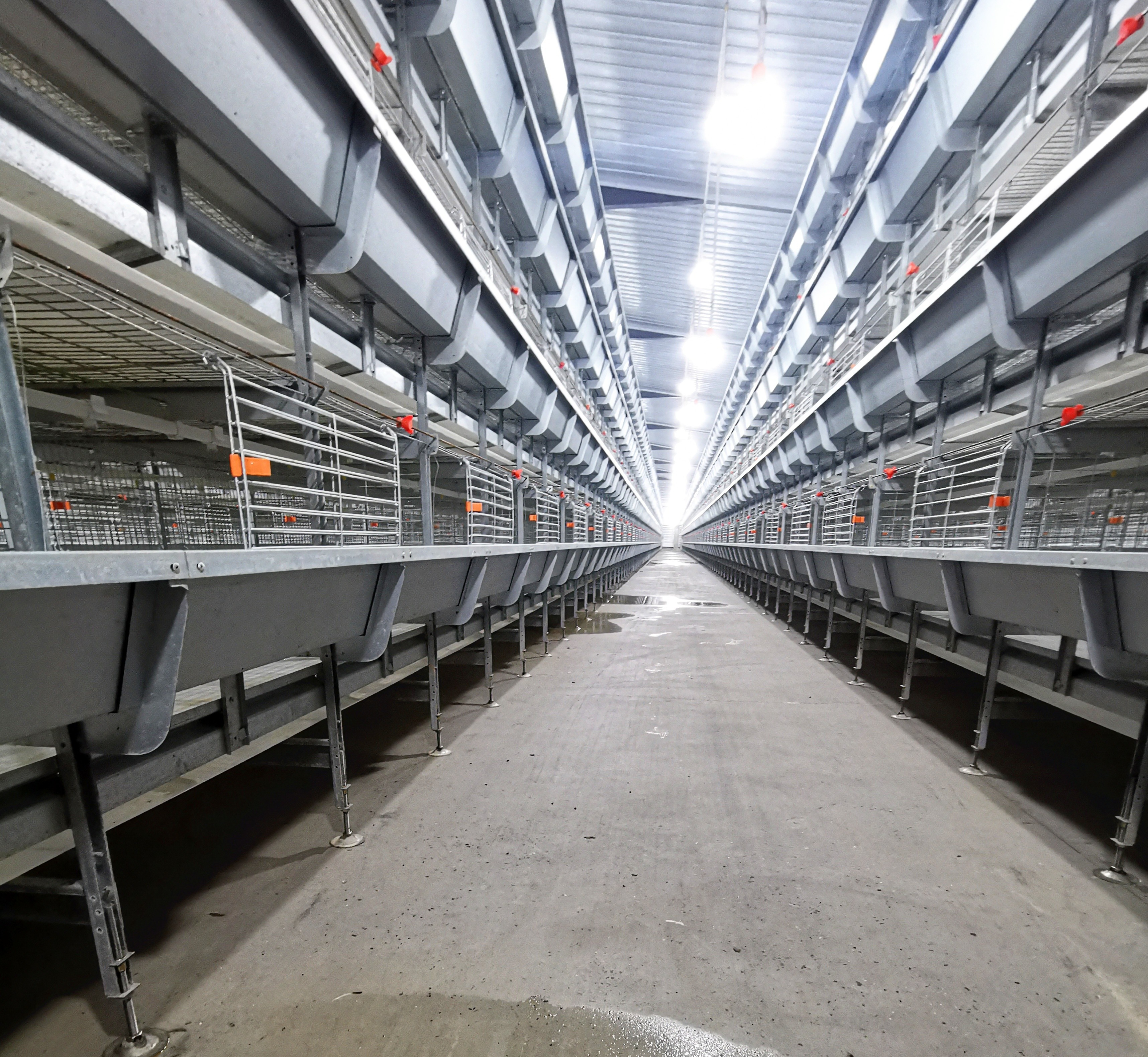 Kenya H Type 3 / 4 Layers Chicken Layer Cages Poultry Farm Breeding System