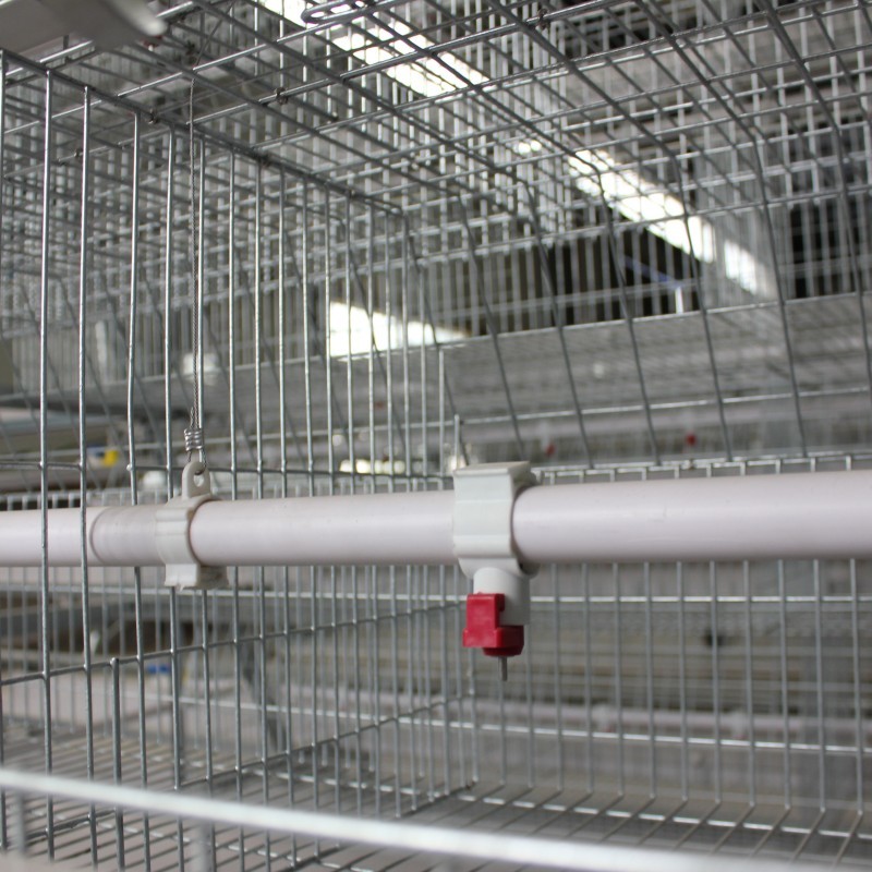 5000 Birds Broiler Poultry Cage Farm Hot Dip Galvanized Battery H Frame ...