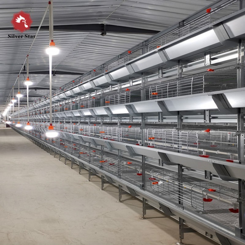 H Type Complete Automatic Broiler Chicken Cage 4 Tiers