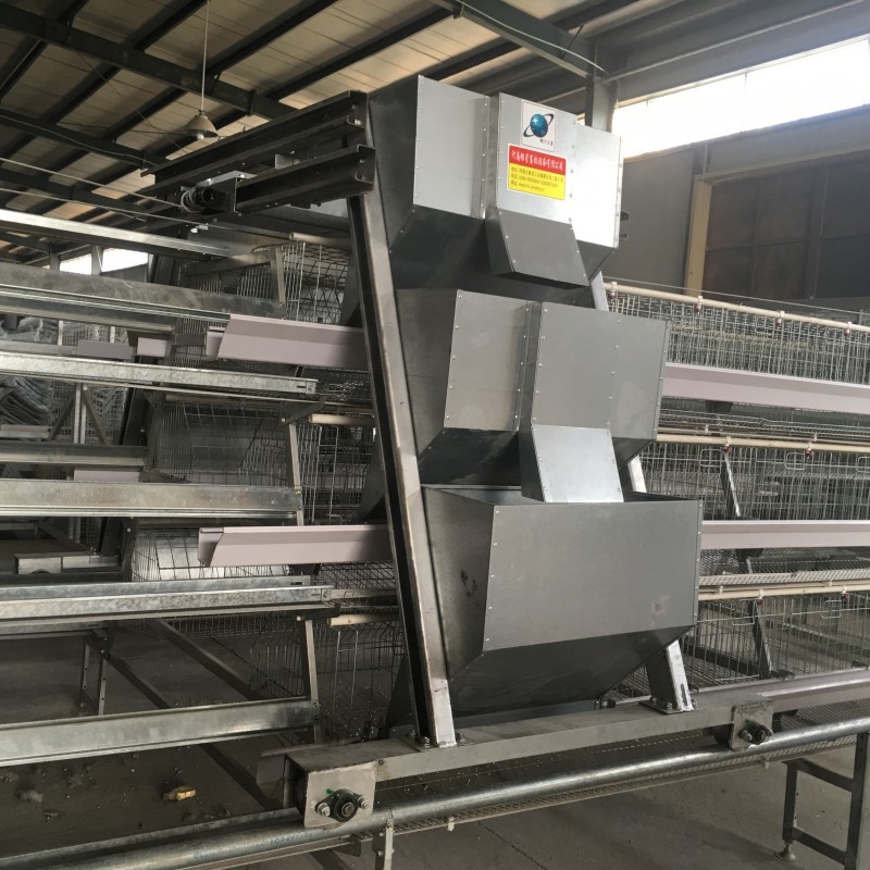 3-4 Doors Automatic Battery Chicken Cages 160 Chickens With Egg ...