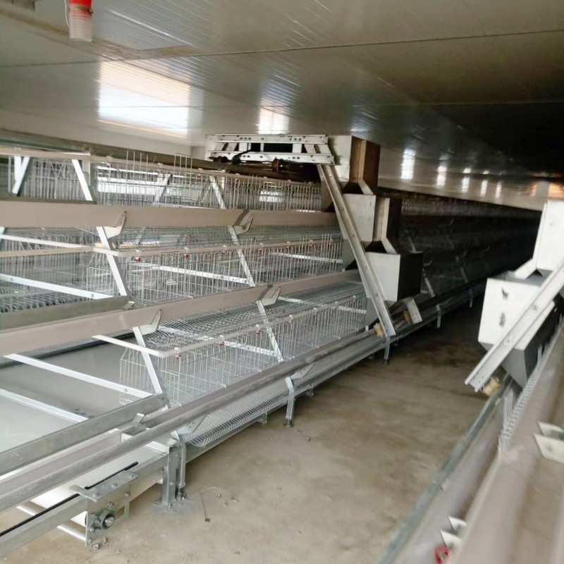 3-4 Doors Automatic Battery Chicken Cages 160 Chickens With Egg ...