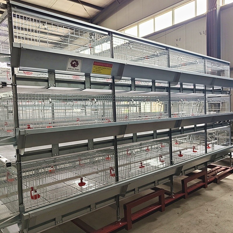 Poultry Farm Equipment Chicken Broiler House Design Broiler Chicken ...