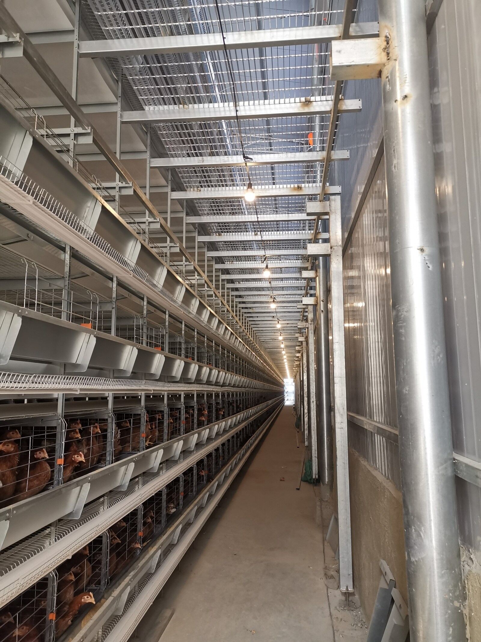 1950×2300×2000 Poultry Farm Laying Hens Cage A Type 3,4 Tiers Egg Layer ...
