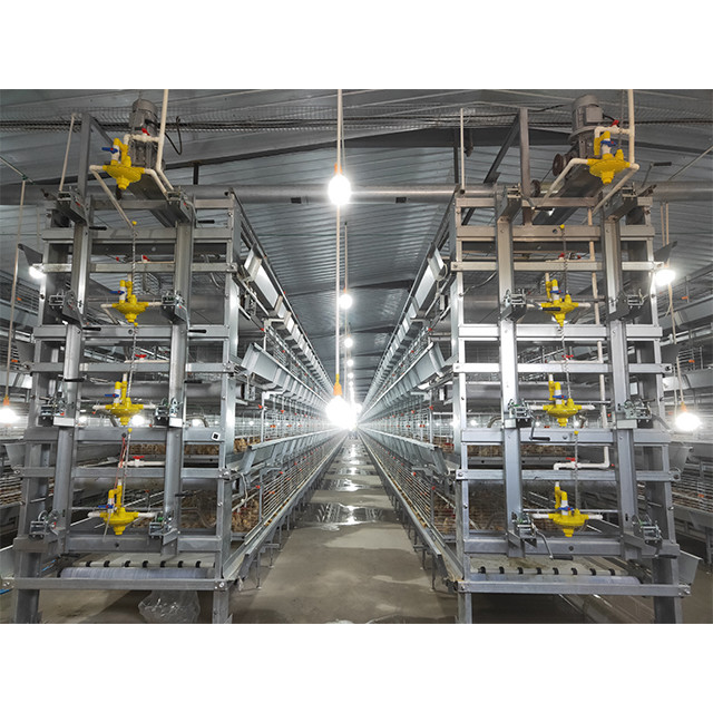 Layer Chicken Cage And Water System For 10000 Birds Poultry Farm House ...