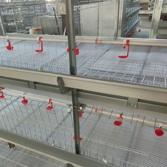 Layer Chicken Cage And Water System For 10000 Birds Poultry Farm House ...