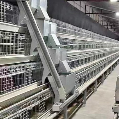 Poultry Farm Layer Chickens Battery Cages Automatic Layer Poultry Cage ...