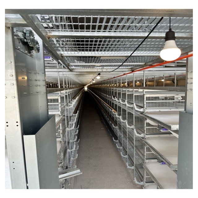 Automatic H Type Chicken Layer Cage Battery For Chicken Layer Farming ...