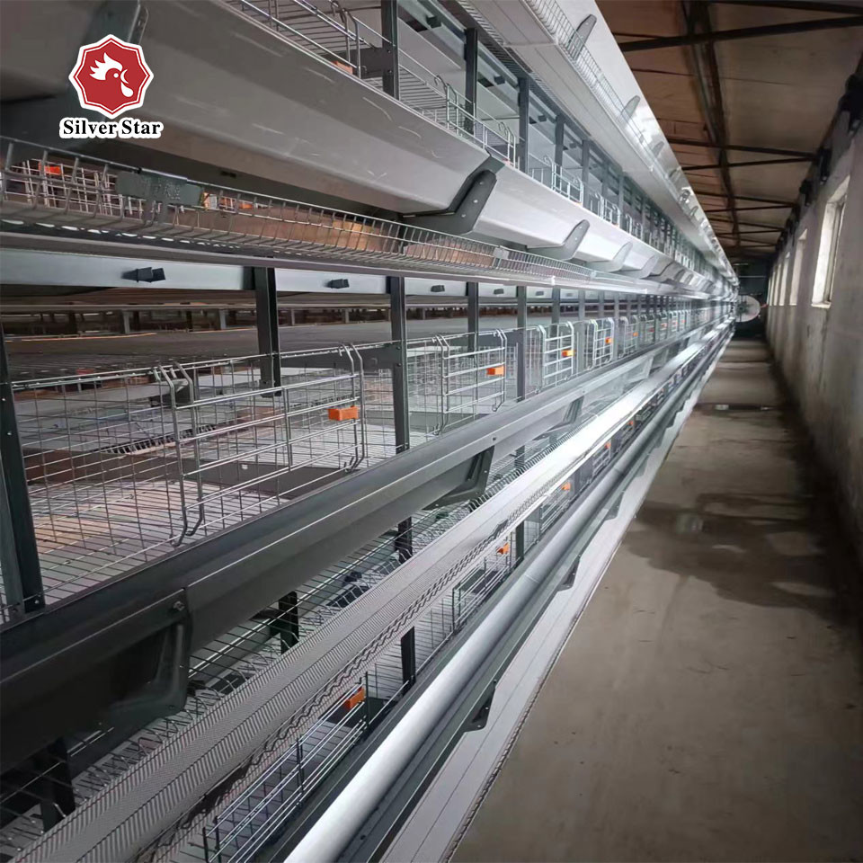 Hot-Dip Galvanized Fully Automated 3-8 Tier Layer Cage with Automatic ...