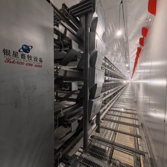 4-Tier Fully Automated Layer H-Type Fully Automatic Layer Cage ...