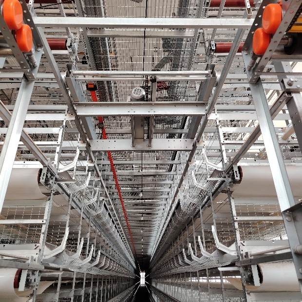 Automated Laying Hens Machines 8 Tier Chicken Layer Battery Cage ...