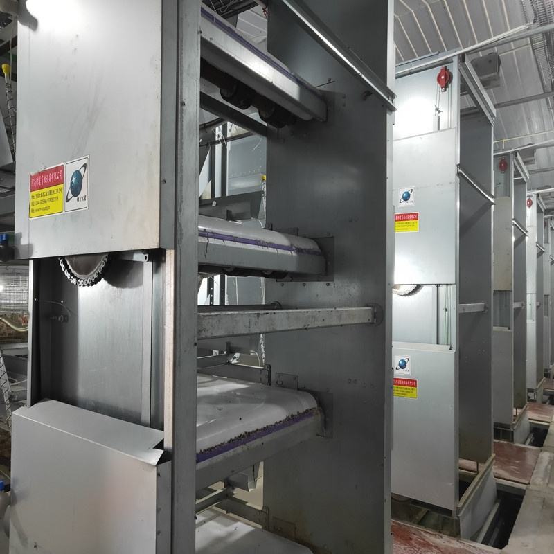 Automatic H-Type Battery Cage for Large Poultry Farms