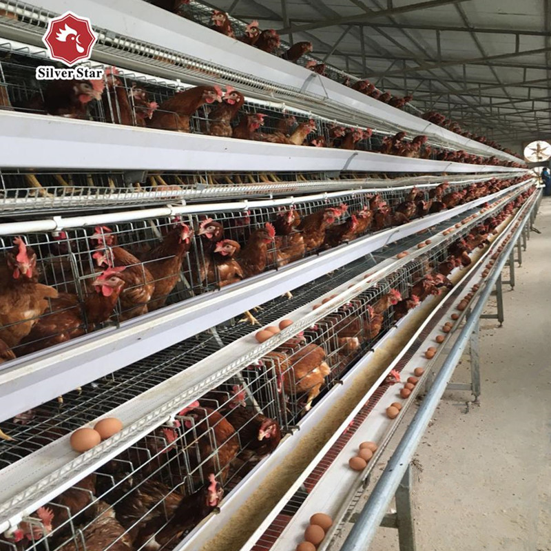 A Type Poultry Battery Layer Chicken Cage System Hot Galvanized Q235 ...