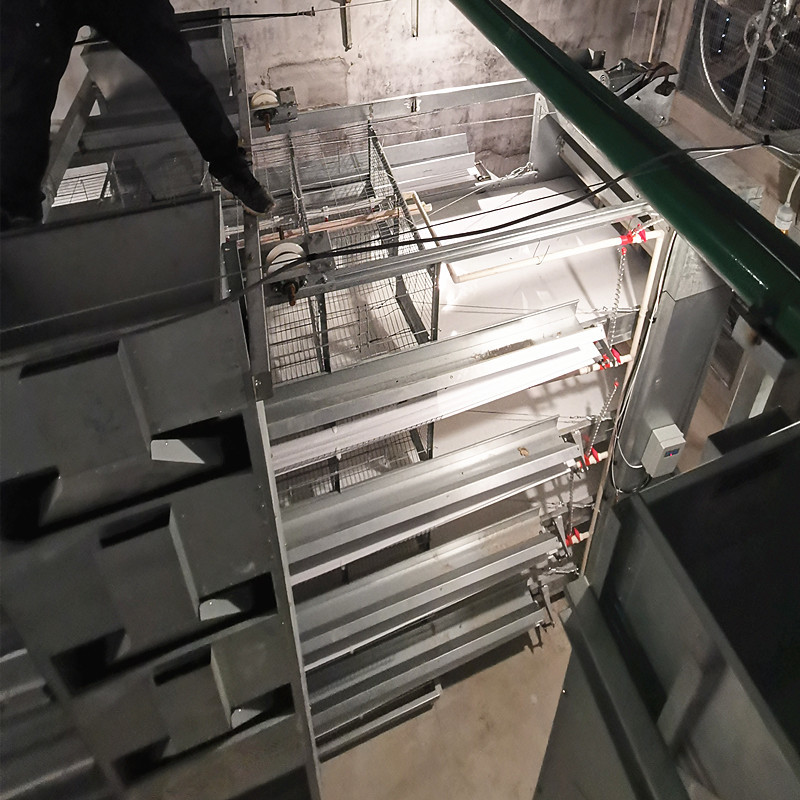 8.67m/Min Livestock Automatic Chicken Feeder System , SGS 0.75kw ...