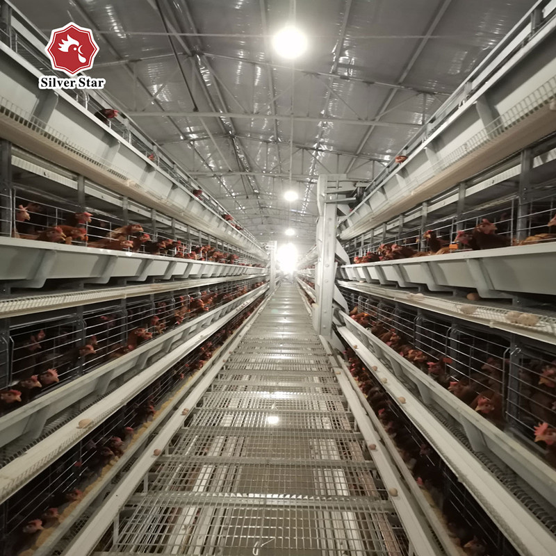 Automatic H Type Layer Chicken Cage Poultry Farming Laying Hens Cage