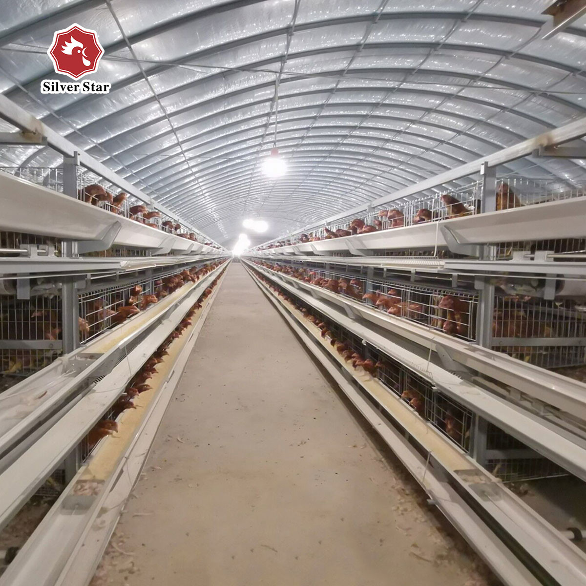 A Type H Type Battery Layer Chicken Cages Automatic Egg Poultry Farming