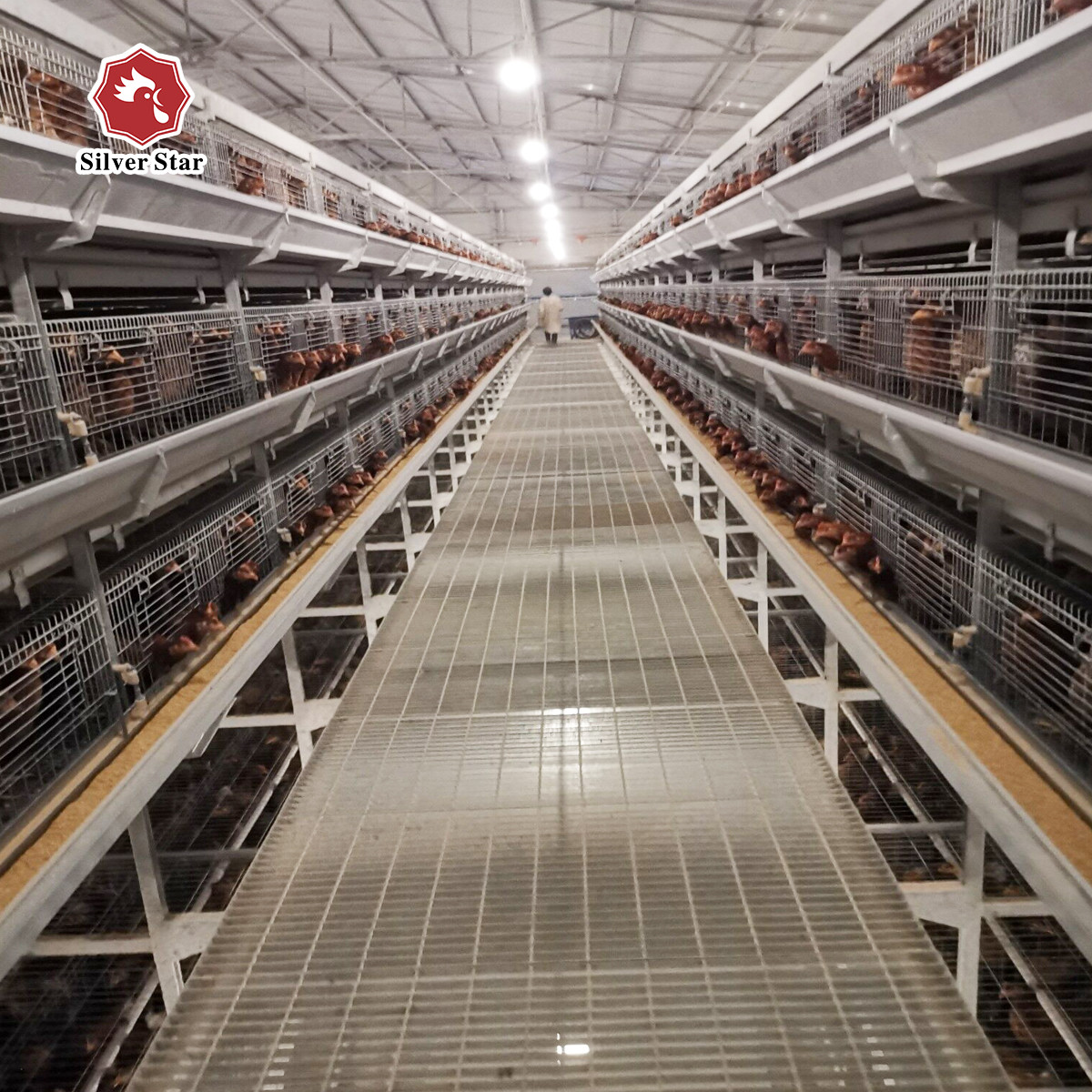 Poultry Farm Automatic A Type Galvanized Layer Egg Laying Chicken ...