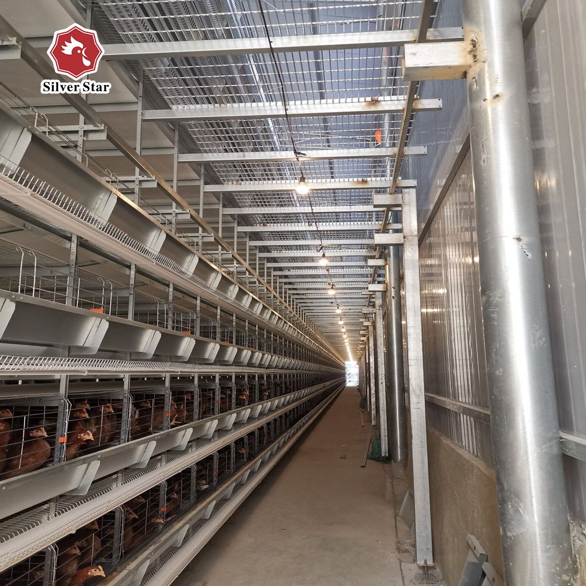 Poultry Farm Automatic A Type Galvanized Layer Egg Laying Chicken ...