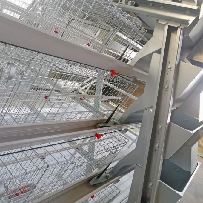 Broiler Chicken Farm Automatic Battery Cage System 13 Chicks/Cell